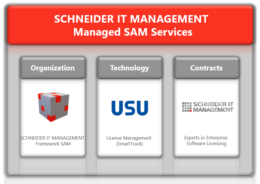 Managed Software Asset Management (SAM) Services | SCHNEIDER IT MANAGEMENT