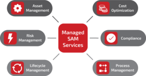 SCHNEIDER IT MANAGEMENT - Microsoft & all Software
