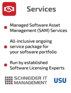 SCHNEIDER IT MANAGEMENT - Microsoft & all Software